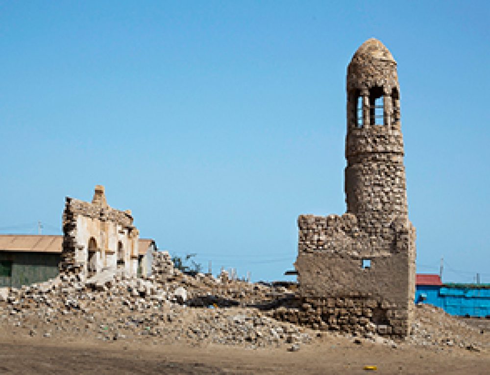 Where did figs come from? History of figs - Quatr.us Study Guides